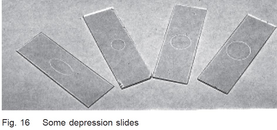 ANTIQUE MICROSCOPE ACCESSORIES