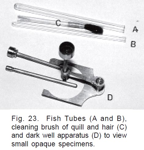 ANTIQUE MICROSCOPE ACCESSORIES